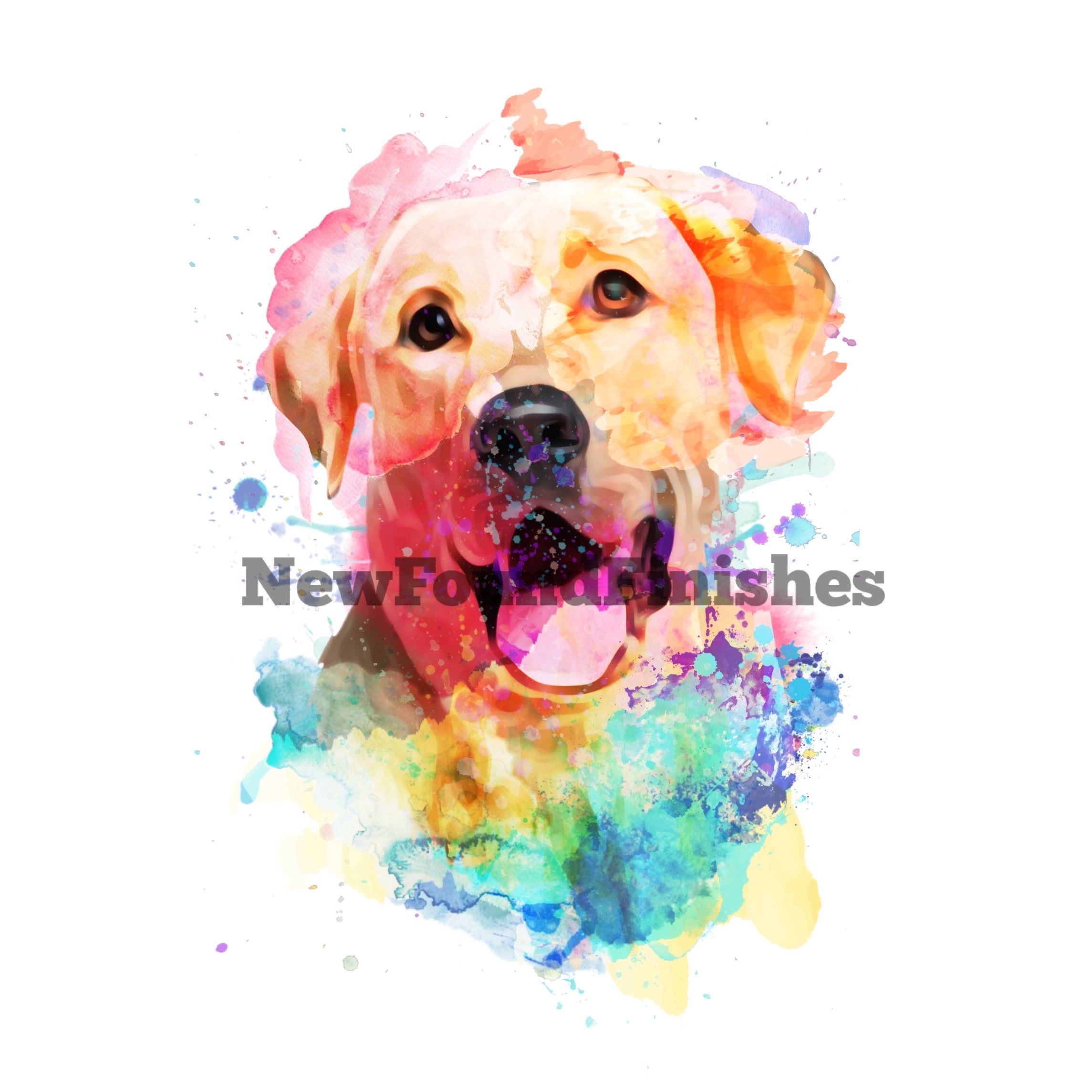 Yellow lab – NewFoundFinishes